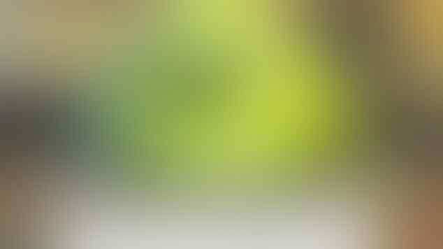 Muhammad Ibnu, Viral di Internet karena Sebuah Meme | KASKUS