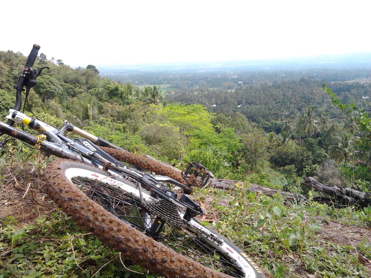 + All About Wimcycle Boxer Series + | KASKUS