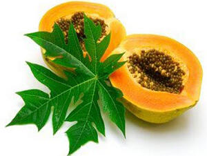 pepaya lampung(pepaya mengkal , pepaya matang , pepaya muda) | KASKUS