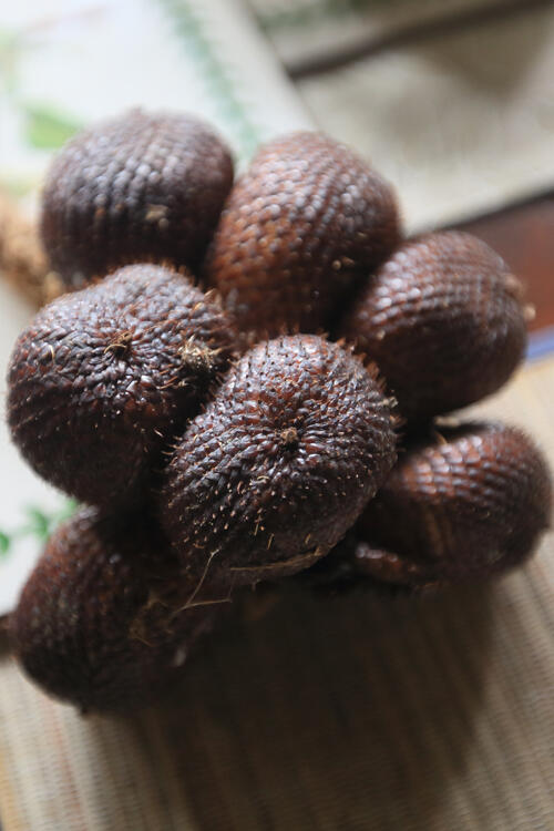 Salak Gula Pasir, Salak Khas Bali | KASKUS
