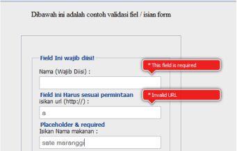 Membuat Form Validasi Dinamis dengan jQuery | KASKUS