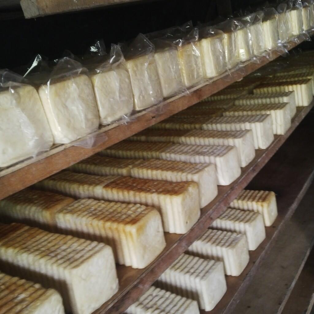 Supplier / Supply Roti Tawar Bandung untuk Usaha Roti Bakar | KASKUS