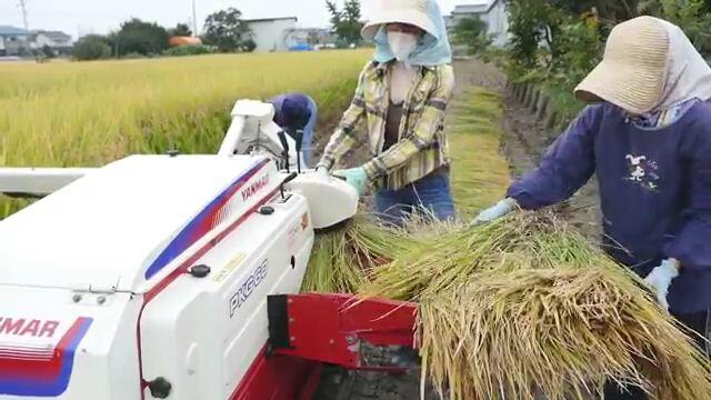 Petani Indonesia maju sejahtera dengan mesin pemanen (edisi pemanen ...