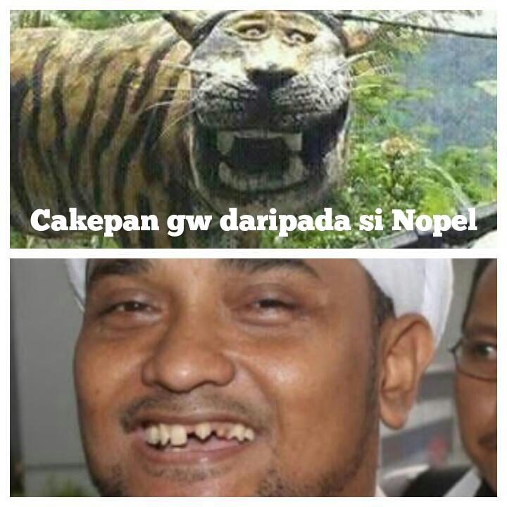 10 Meme Patung Macan Koramil yang Viral ini Bikin Netizen Ngakak Guling ...