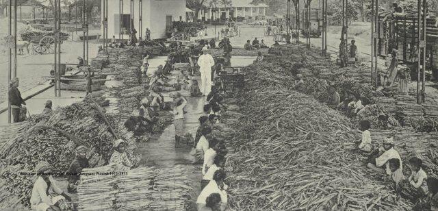 Cultuurstelsel, Cara Kolonial Merampok Jawa | KASKUS