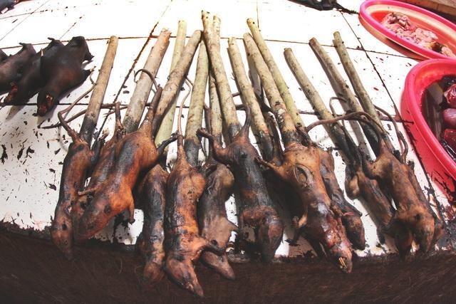 Sate-sate di Indonesia Ini Patut Dicoba | KASKUS