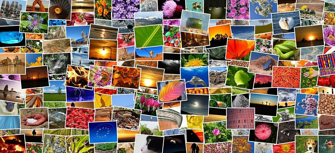 Unduh Gambar Gratis Kualitas Tinggi Di Pixabay | KASKUS