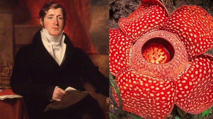 Rafflesia Arnoldi Bunga langka yang terancam punah | KASKUS