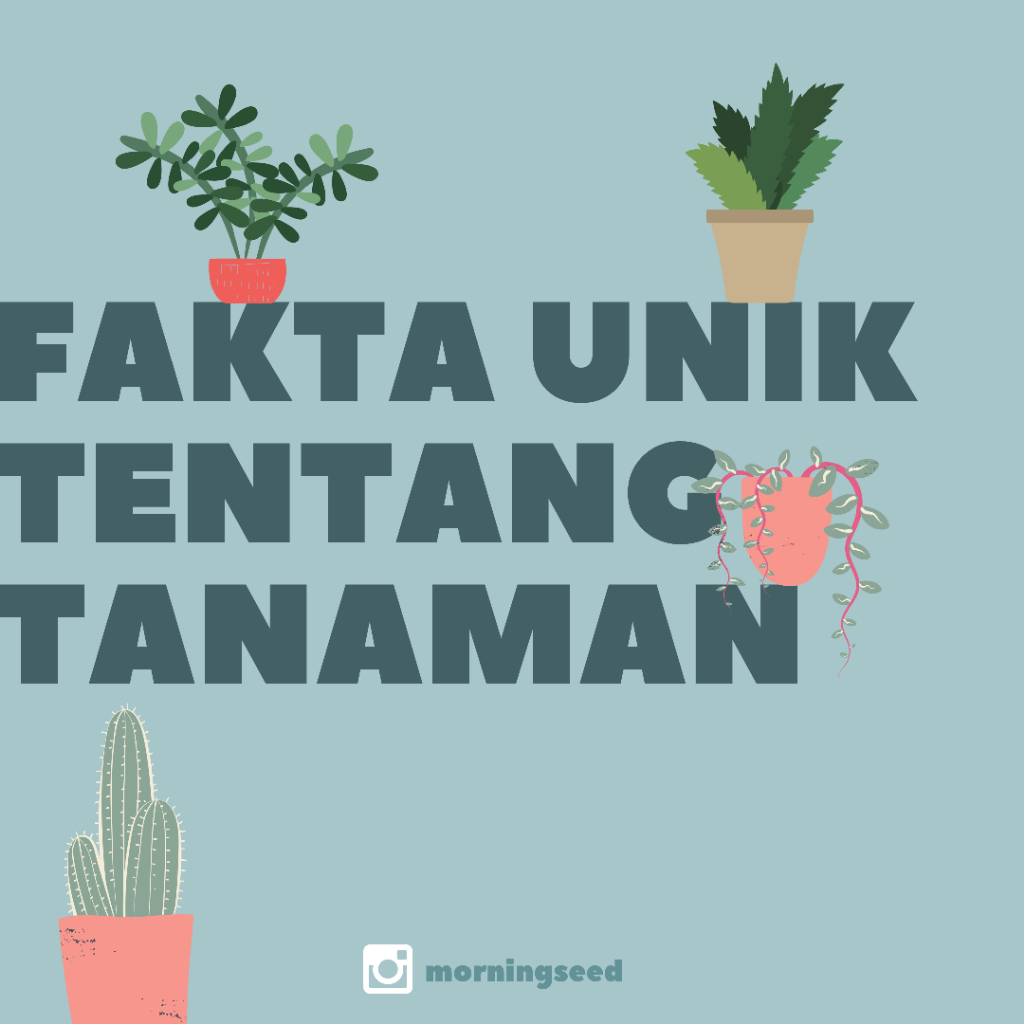 Ternyata Tanaman Juga Punya Otak Seperti Manusia | KASKUS