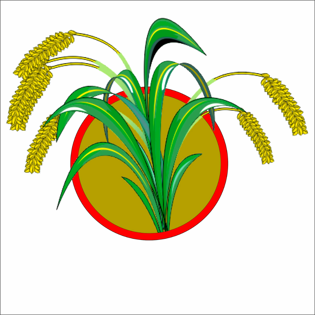 Desain Tumbuhan Padi | Corel Draw | KASKUS