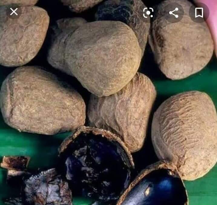 Tumis Dage Picung: Olahan Buah Kluwek Yang Tak Pernah Kehilangan ...