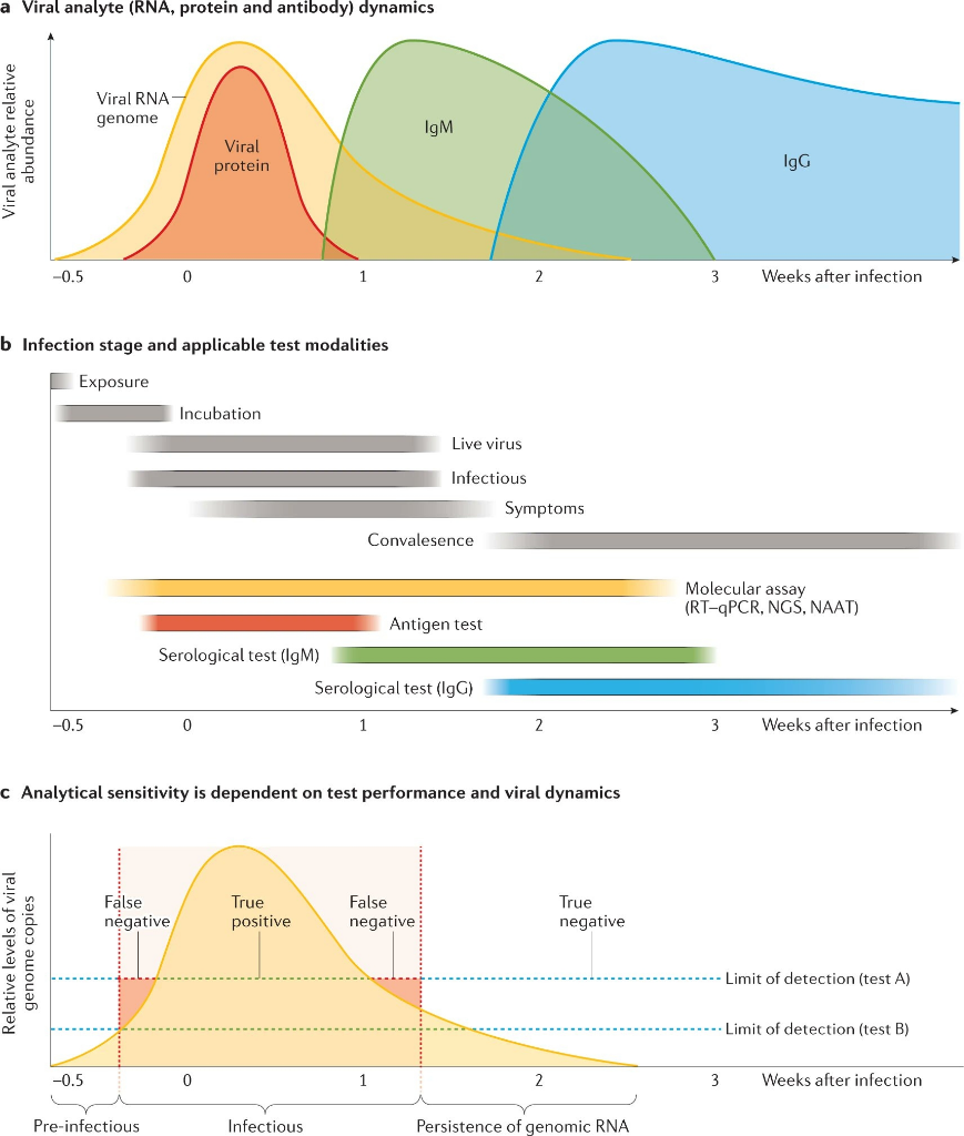 Berapa Lama Masa Inkubasi COVID-19? Cek di Sini | KASKUS