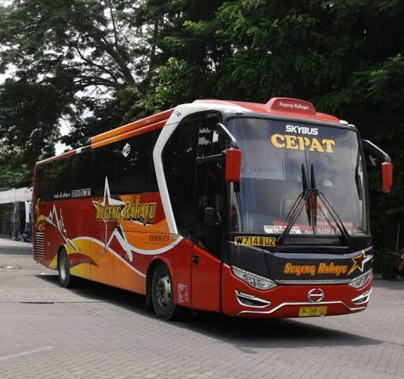 Bus Single Glass Makin Banyak Di Jalanan! | KASKUS