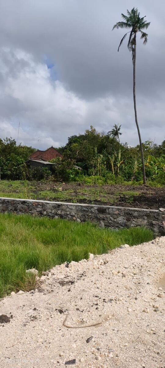 Jual Tanah kosong dikawasan canggu berawa dkt atlas fins beach club ...