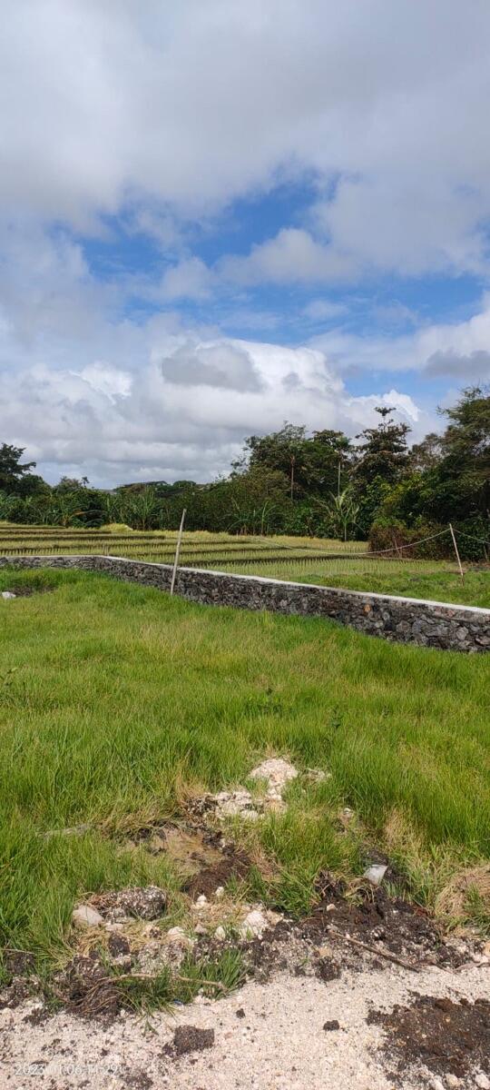 Jual Tanah kosong dikawasan canggu berawa dkt atlas fins beach club ...