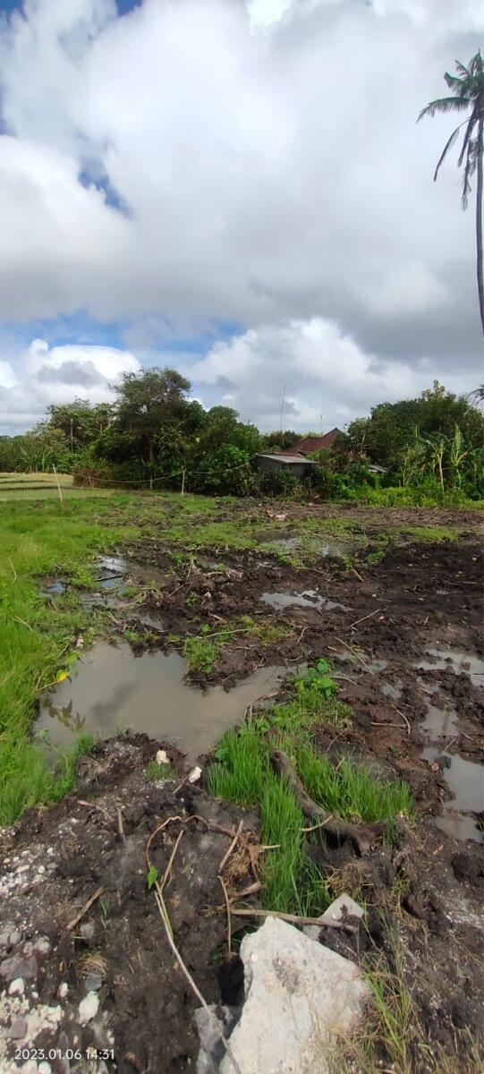 Jual Tanah kosong dikawasan canggu berawa dkt atlas fins beach club ...