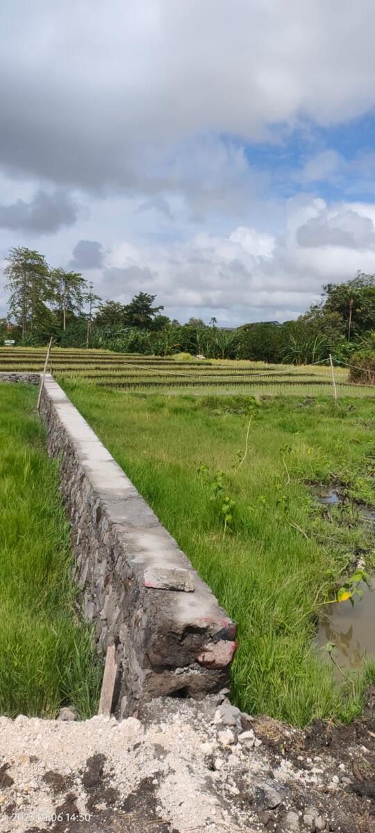 Jual Tanah kosong dikawasan canggu berawa dkt atlas fins beach club ...