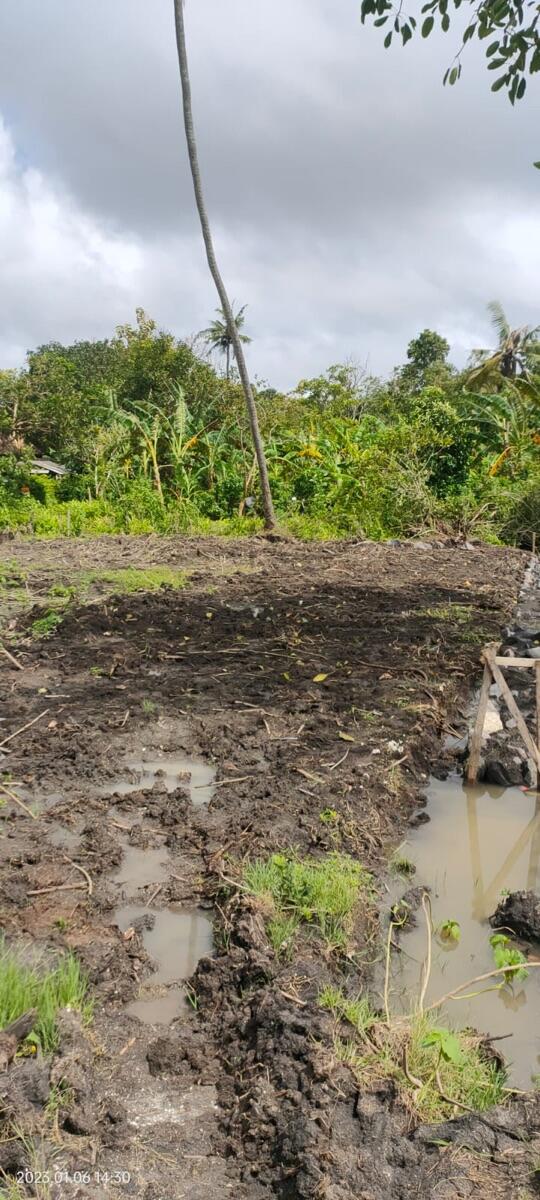 Jual Tanah kosong dikawasan canggu berawa dkt atlas fins beach club ...