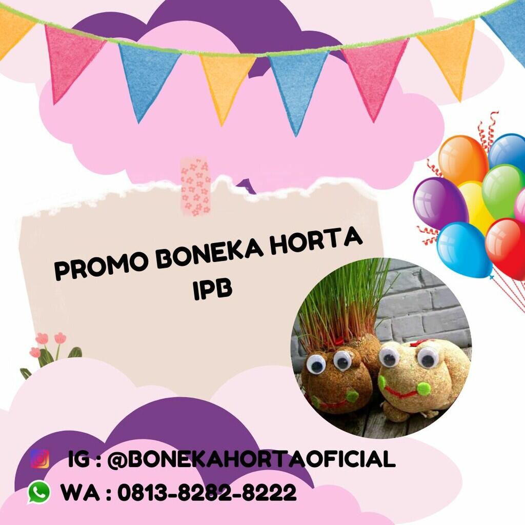 DO IT YOURSELF Boneka Horta Menempel, Paket Edukasi Membuat Boneka ...