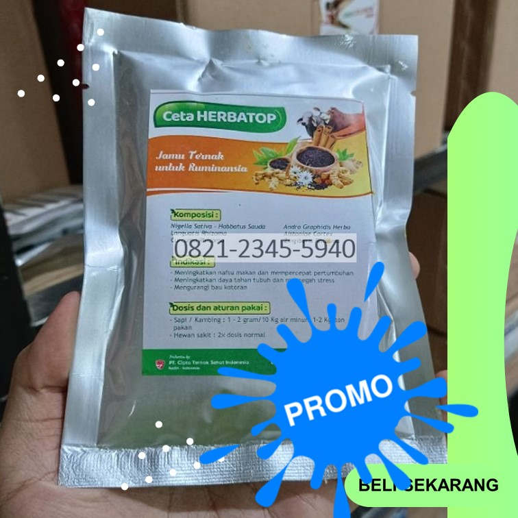 Obat Kambing Mencret Pekalongan | KASKUS