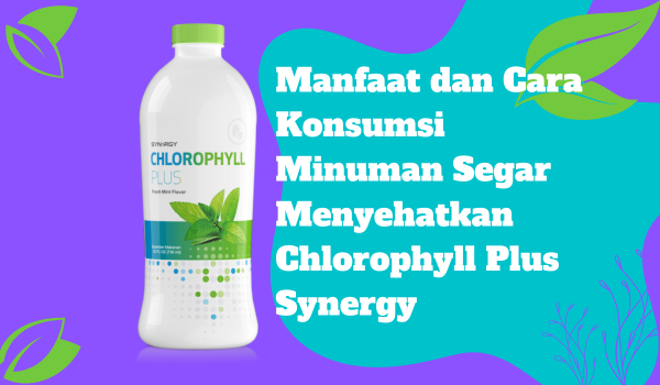 Manfaat Dan Cara Konsumsi Minuman Segar Menyehatkan Chlorophyll Plus ...