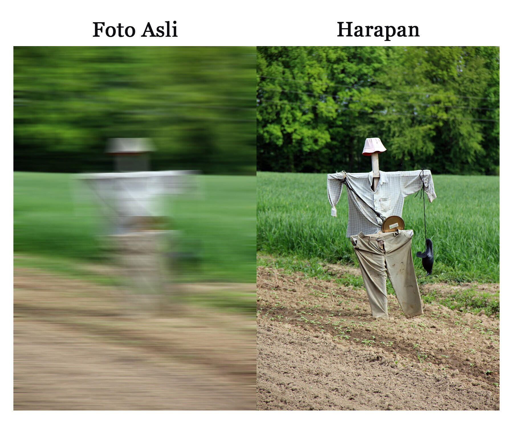 Apakah Foto yang Buram Bisa Dipertajam? | KASKUS