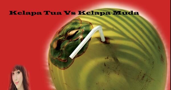 Kelapa Tua Vs Kelapa Muda, bagaimana cara mengetahuinya | KASKUS