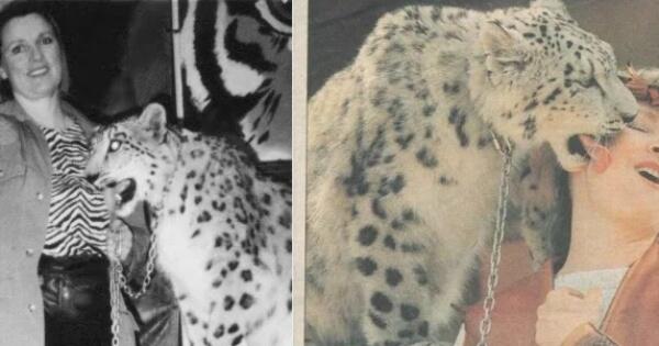 Ketika Manusia di Serang Hewan Peliharaannya | KASKUS