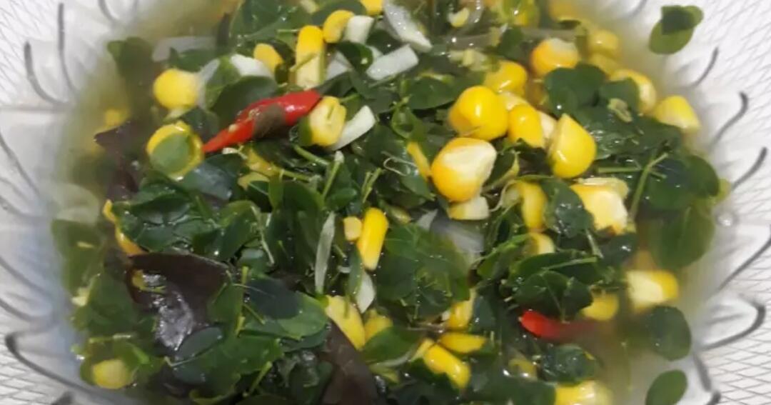 Sayur Moringa Oleifera Murmer, Bernutrisi Dan Baik Untuk Kesehatan | KASKUS