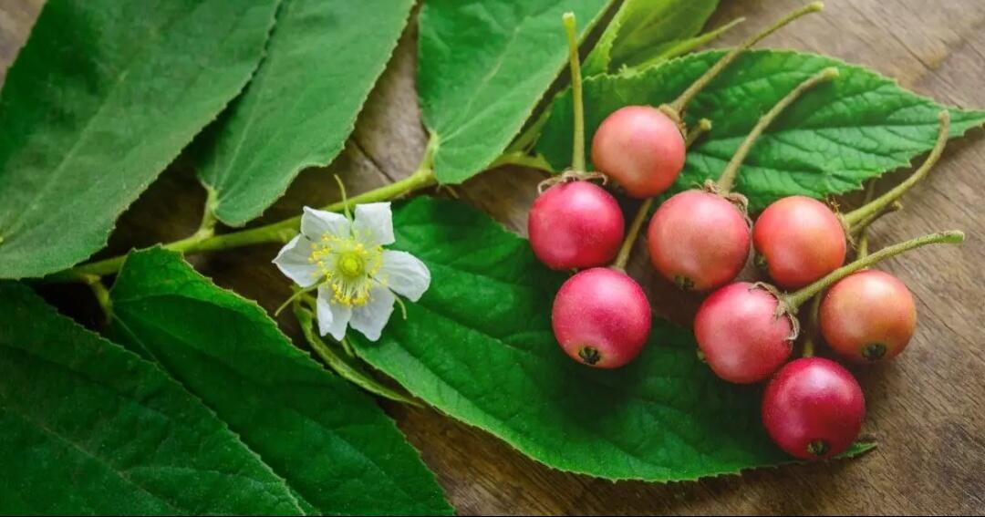 7 Buah-Buahan Lokal yang Dulu Sering Digunakan Sebagai Amunisi untuk ...