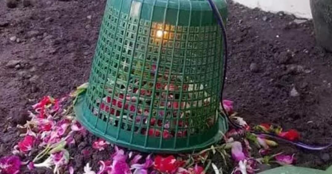 Mengubur Ari-ari dan Diberi Penerangan Bukanlah Syirik, Berikut ...