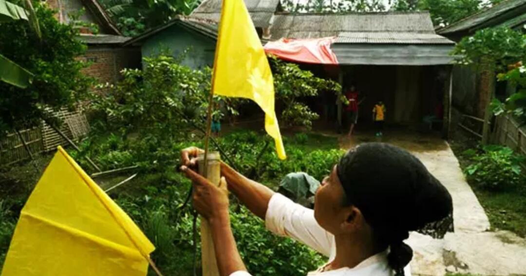 Begini Asal Usul Bendera Kuning Sebagai Simbol Kematian | KASKUS