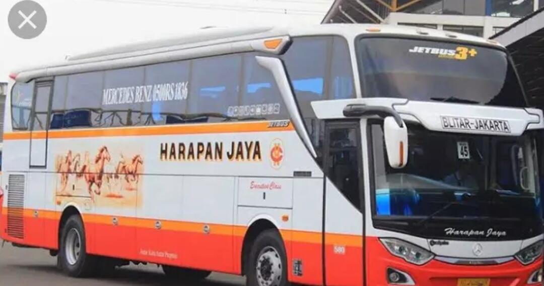 Apa Arti Bus AKAP Dan AKDP? Gansis Wajib Tahu! | KASKUS