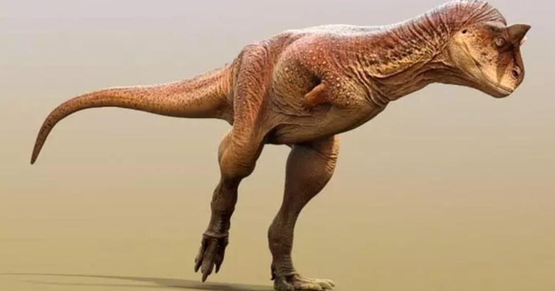 Penemuan Fosil Dinosaurus "Guemesia Ochoai" di Argentina, Diklaim ...